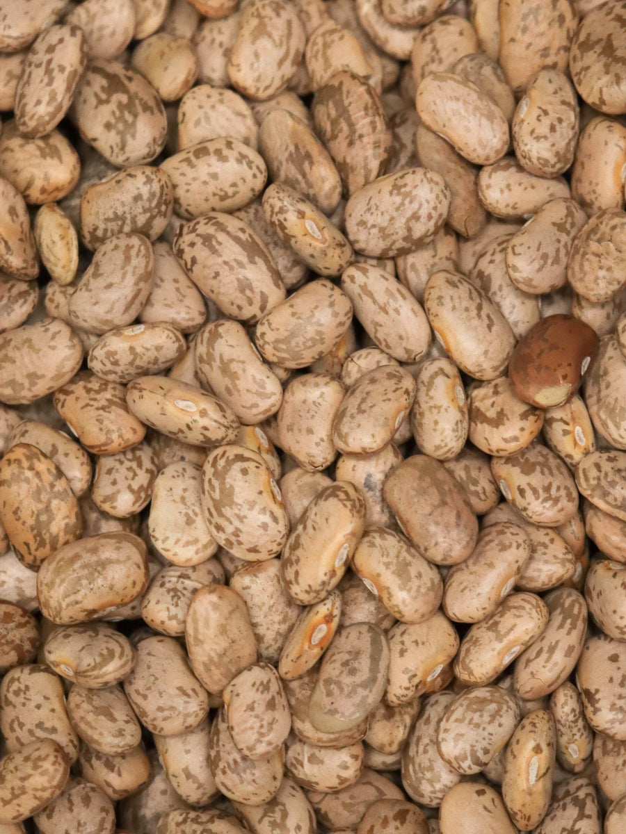 Organic Pinto Beans – The Soap Dispensary and Kitchen Staples