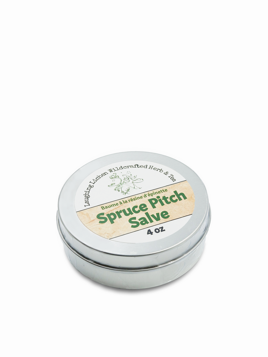 Spruce Pitch Salve Laughing Lichen – The Soap Dispensary and Kitchen ...